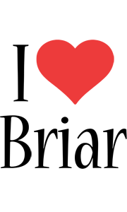 Briar Logo | Name Logo Generator - I Love, Love Heart, Boots, Friday ...