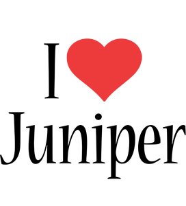 Juniper Logo | Name Logo Generator - I Love, Love Heart, Boots, Friday ...
